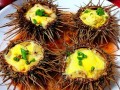海胆是什么_海胆能吃吗