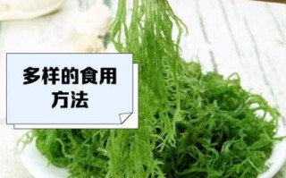 龙须菜白色好还是绿色好_区别与选购技巧
