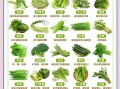 蔬菜有哪些种类名字_常见蔬菜分类大全