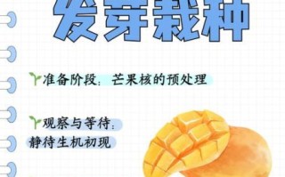 芒果怎么剥皮_芒果怎么去核