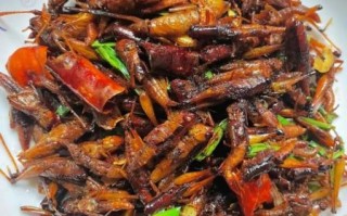 蚂蚱菜图片_蚂蚱菜怎么吃