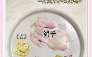 坐月子鸽子汤的做法大全_鸽子汤下奶吗