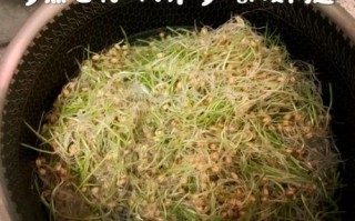 白砂糖怎么熬成麦芽糖_麦芽糖制作步骤