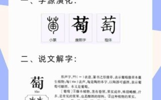 葡萄的拼音是几声_葡萄声调怎么读