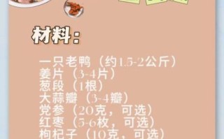 老鸭汤用什么配料最正宗_老鸭汤配料表大全