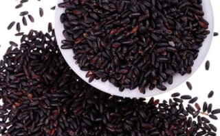 气血不足吃黑米还是黑糯米好_补血效果谁更强