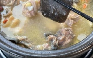 甲鱼怎么炖汤好喝_甲鱼做法大全