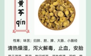 黄芩的功效与作用_黄芩泡水喝有什么好处