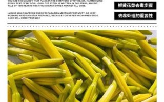黄花菜怎么吃才安全_黄花菜中毒怎么办