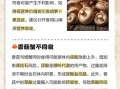香菇和什么一起吃最好_香菇不能和什么一起吃