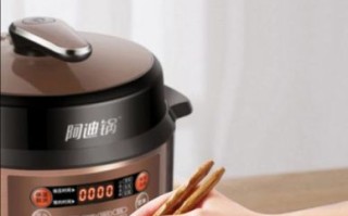 电压力锅哪个牌子好用_电压力锅怎么选功能