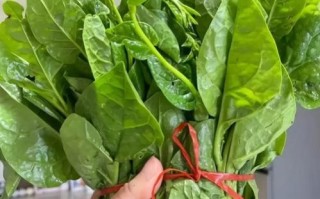 木耳菜吃前必须要焯水吗_木耳菜焯水多久