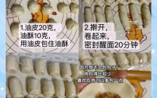 酥皮鲜肉月饼怎么做_鲜肉月饼酥皮秘诀