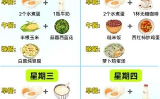 一周减肥食谱怎么做_如何安排三餐