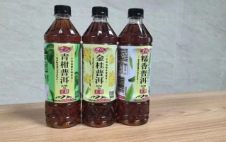 饮料招商加盟哪家好_2024热门品牌推荐