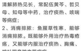 鱼腥草致癌是真的吗_鱼腥草到底能不能吃