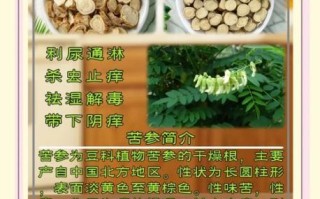 苦参的功效与作用_苦参能治哪些皮肤病