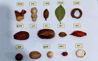 炖肉调料有哪些_炖肉调料怎么搭配