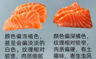 真假三文鱼鉴别_如何分辨真假三文鱼