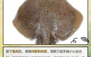 老板鱼的营养价值_老板鱼的功效与作用