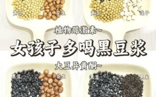黑豆豆浆的做法_黑豆豆浆的配料有哪些
