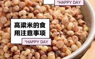 高粱米粥的功效与作用_高粱米粥适合什么人喝