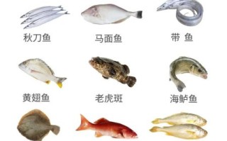 海鱼怎么挑选_海鲜市场常见海鱼有哪些