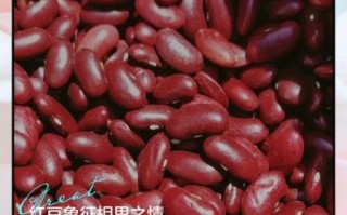 红豆生南国的寓意_红豆为什么代表相思