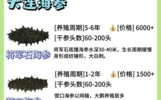 干海参怎么挑选_干海参怎么辨别好坏