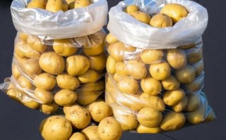 土豆蒸熟怎么和面_土豆蒸多久能揉面