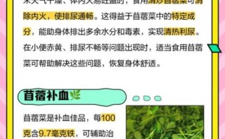 吃苜蓿菜有什么好处_苜蓿菜的功效与作用