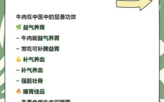 牛肉补什么功效与作用_吃牛肉有哪些好处