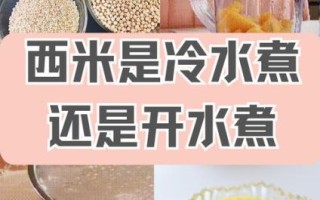 西米是什么东西_西米是什么材料做的