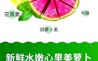 心里美萝卜热量高吗_减肥能吃吗