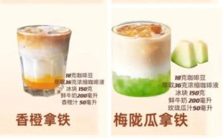 水果冷饮怎么做_水果冷饮的做法大全