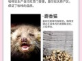 猫屎咖啡是怎么来的_猫屎咖啡为什么那么贵