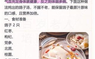 鸽子怎么炖好吃_鸽子汤的做法大全