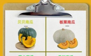 减肥为什么不能吃南瓜_南瓜热量高吗