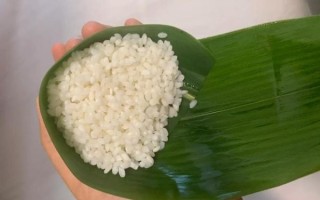 腊肉粽子怎么包好吃_腊肉粽子配料窍门