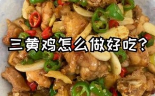 三黄鸡怎么做好吃_三黄鸡做法视频窍门