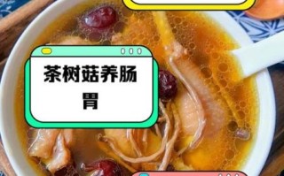 茶树菇煲鸡汤的做法_茶树菇鸡汤有什么功效