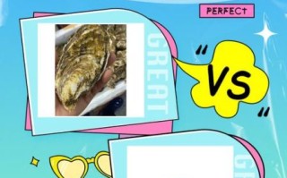牡蛎和生蚝哪个贵_价格差异全解析