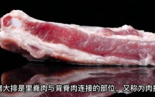 大排面的大排是什么肉_大排面用猪哪个部位