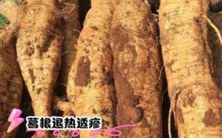 葛根对卵巢有什么好处_葛根能调节雌激素吗