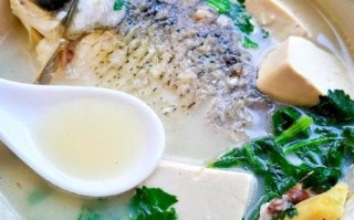 鲫鱼豆腐汤怎么做好喝_鲫鱼豆腐汤的家常做法