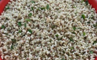 煎槐花怎么做_槐花煎蛋的做法步骤