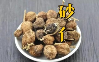 草果别名有哪些_草果与砂仁区别