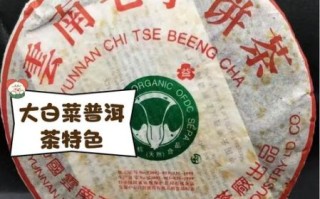 大白菜普洱茶是什么_大白菜普洱茶价格多少钱