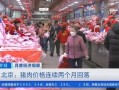 猪肉价格为什么连续回落_近期猪肉价格走势如何