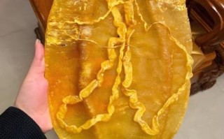 金钱鳘鱼多少钱一斤_金钱鳘鱼为什么这么贵